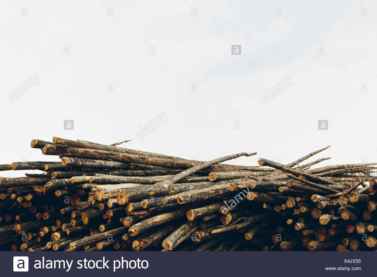 Sawmill Timber High Resolution Stock Photography and Images - Alamy
