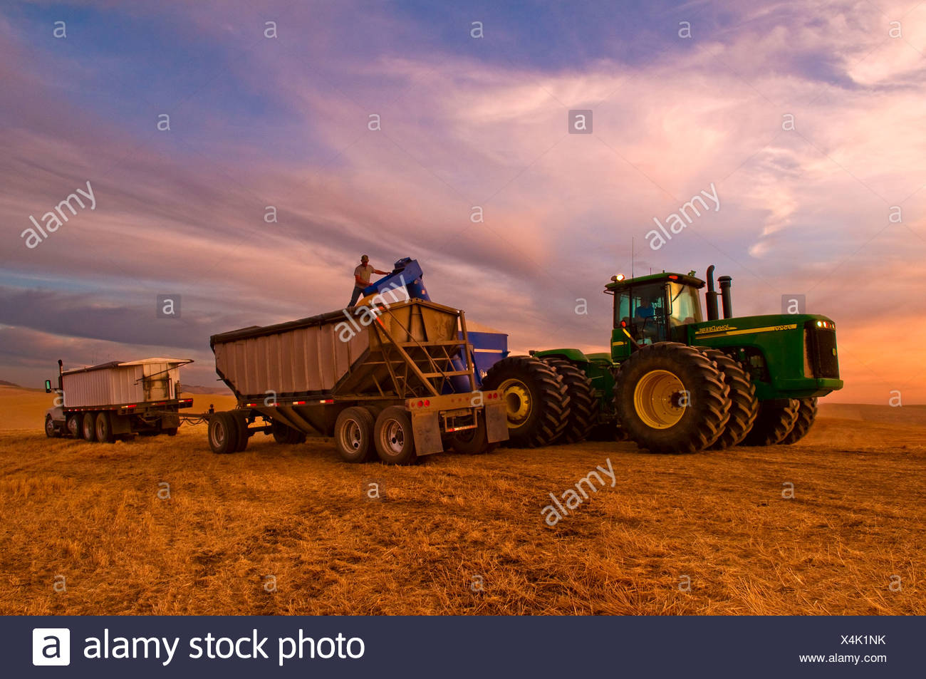 Cart Driver Stock Photos & Cart Driver Stock Images - Alamy