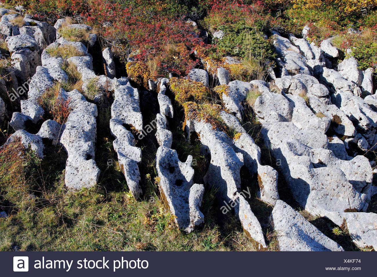 Geology And Landforms High Resolution Stock Photography and Images - Alamy