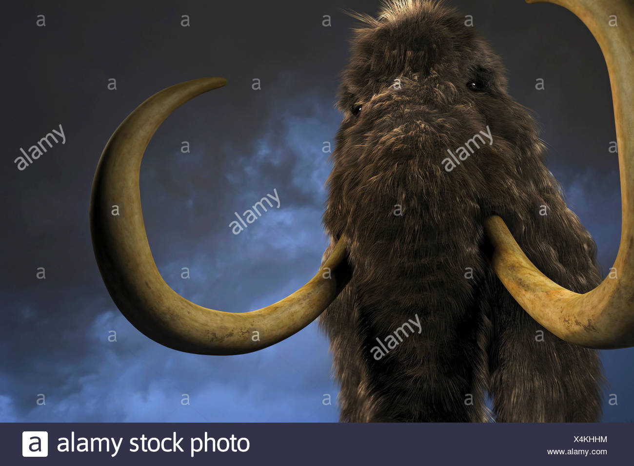 Wooly Mammoth Illustration High Resolution Stock Photography and Images ...