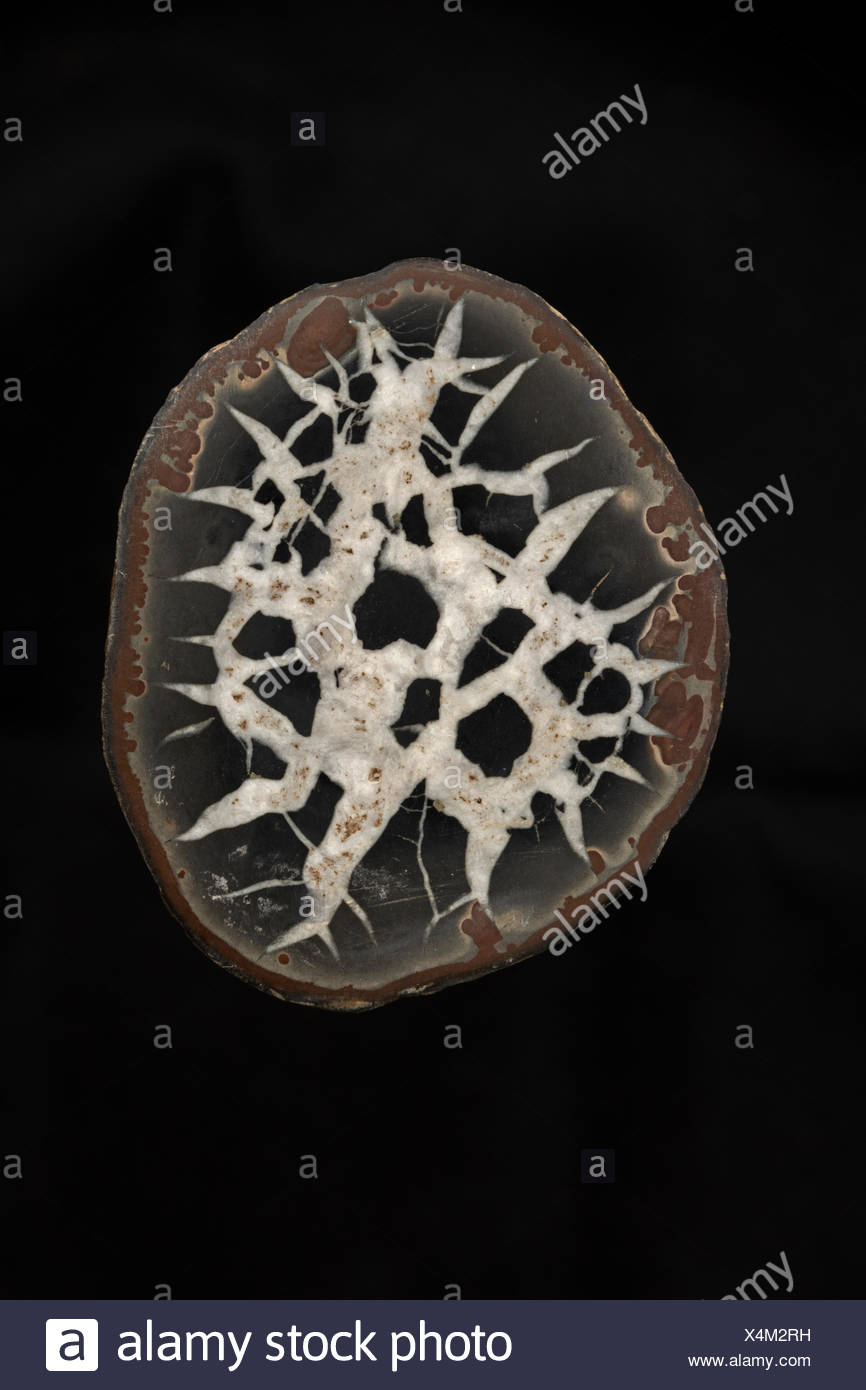 Limestone Nodule High Resolution Stock Photography and Images - Alamy