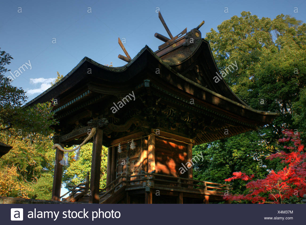 Animismus High Resolution Stock Photography and Images - Alamy