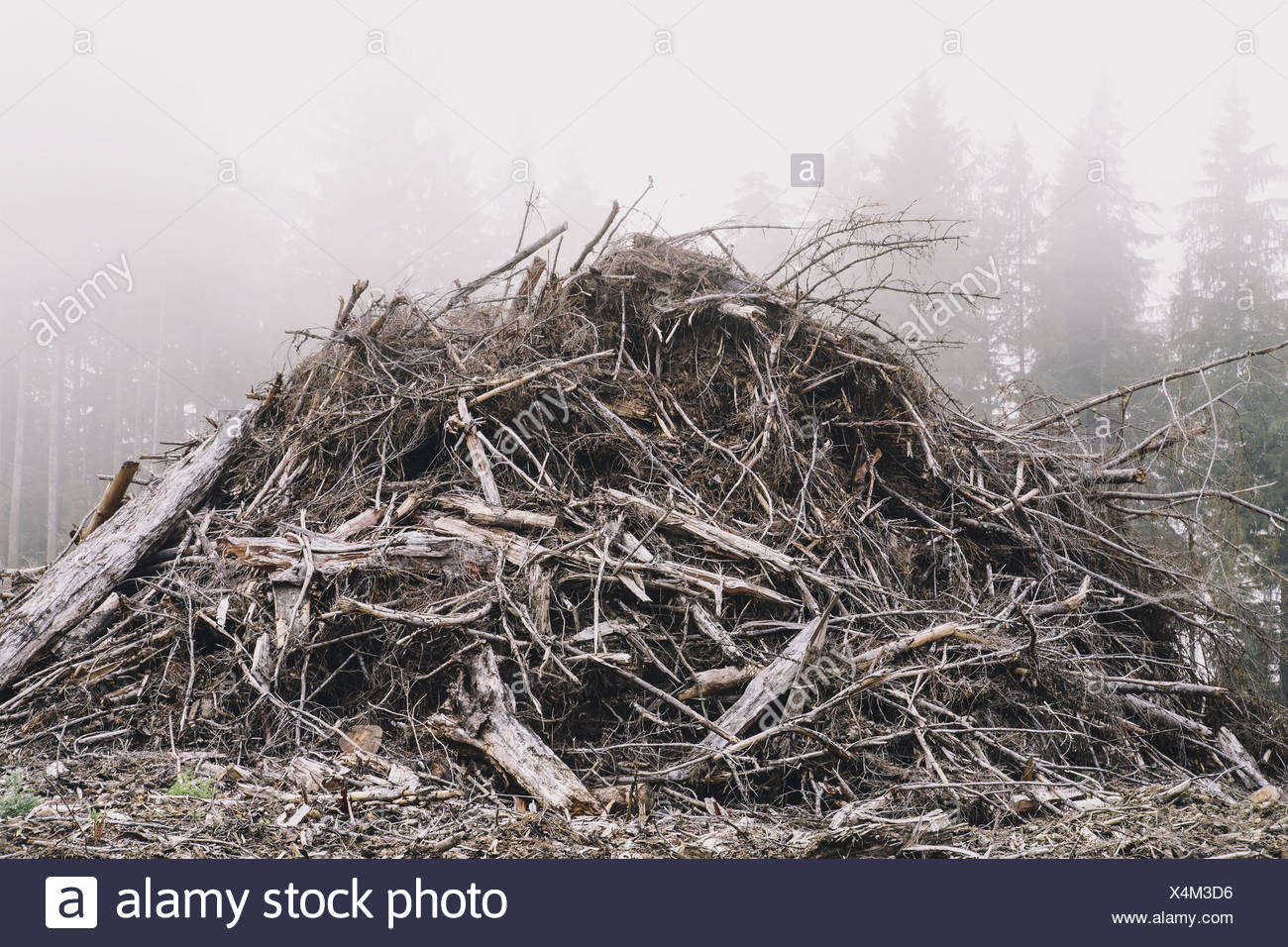 Logging Debris High Resolution Stock Photography and Images - Alamy