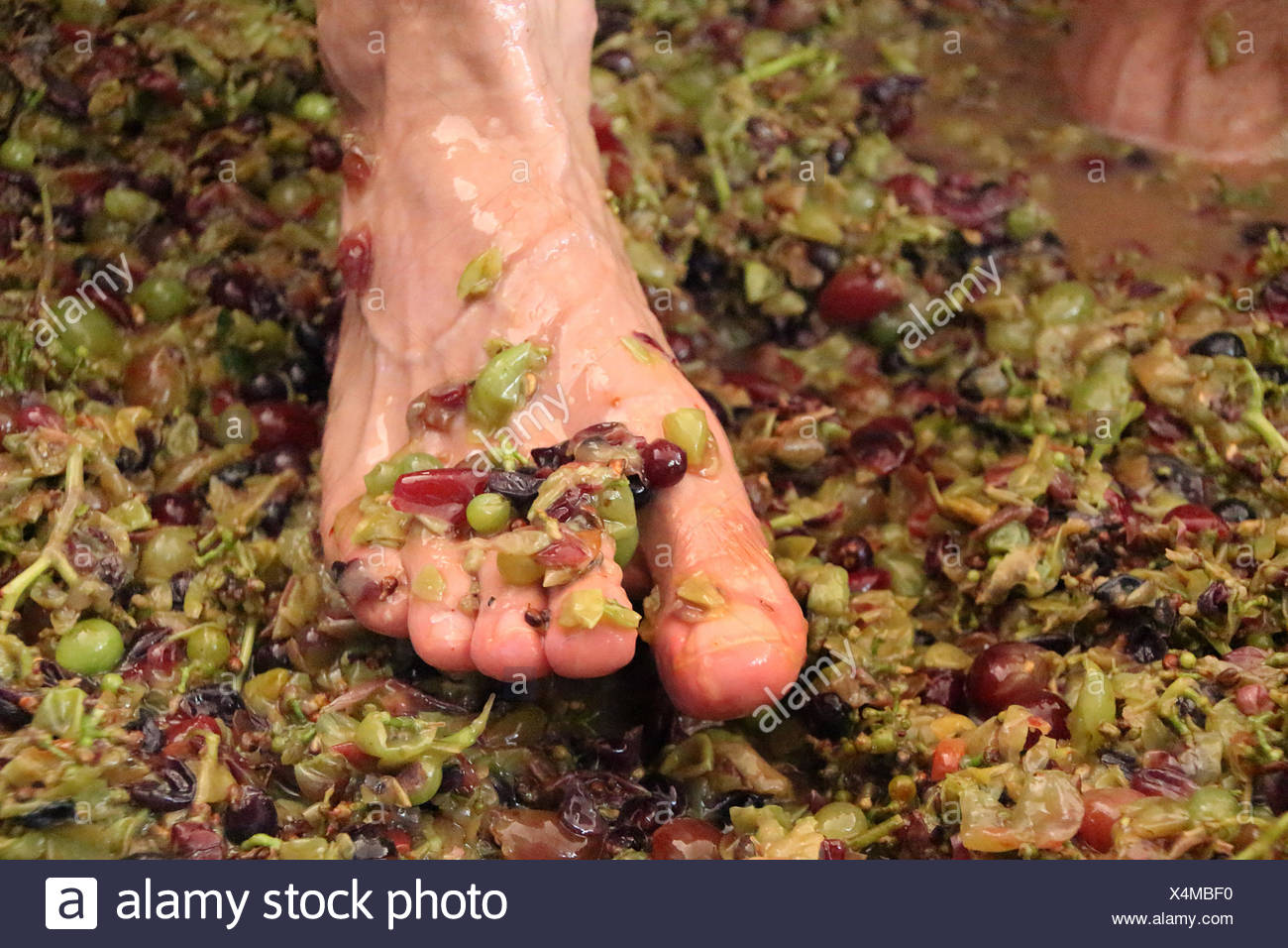 Feet Stamping High Resolution Stock Photography and Images - Alamy