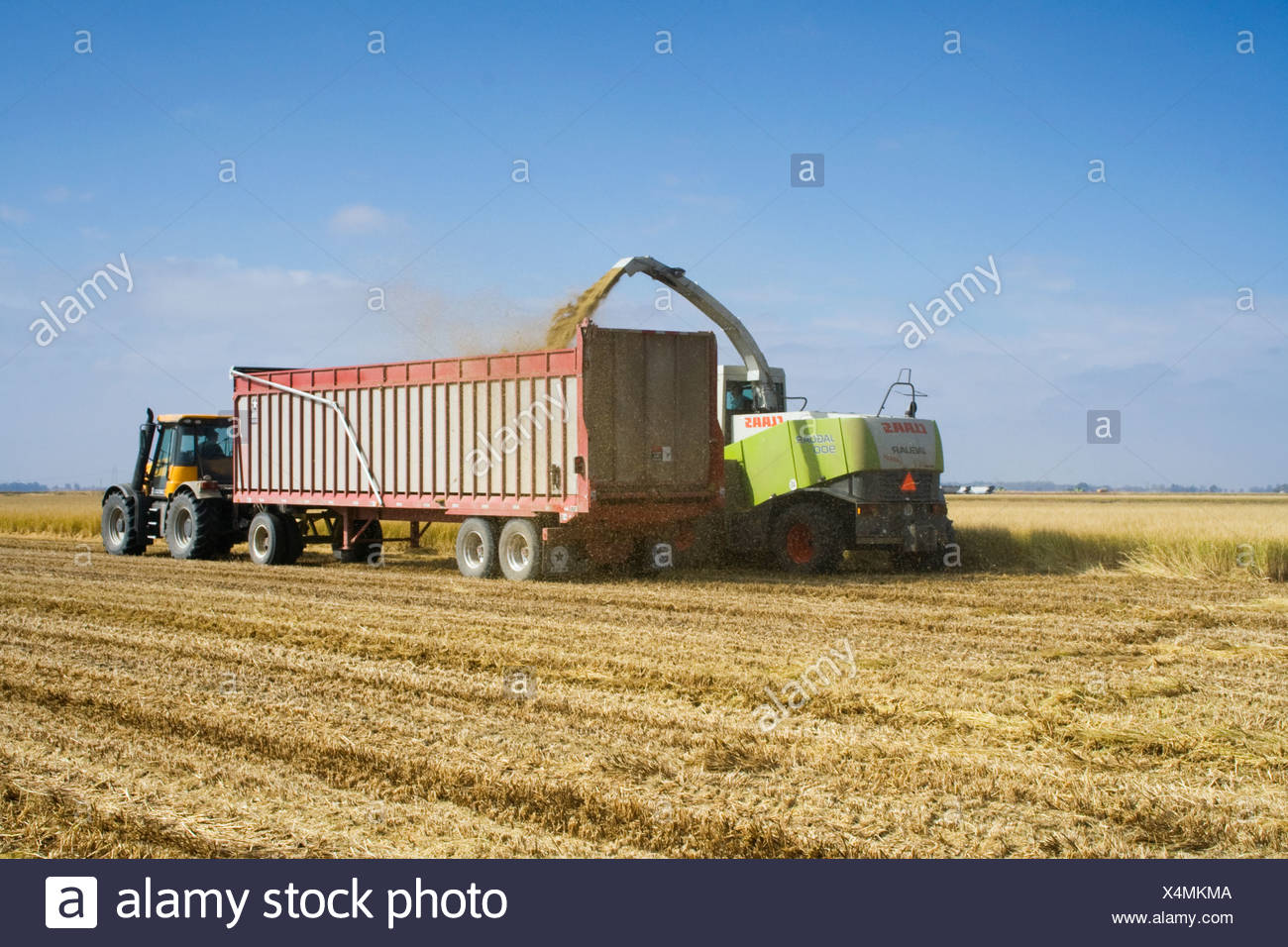 Bio Harvest High Resolution Stock Photography and Images - Alamy