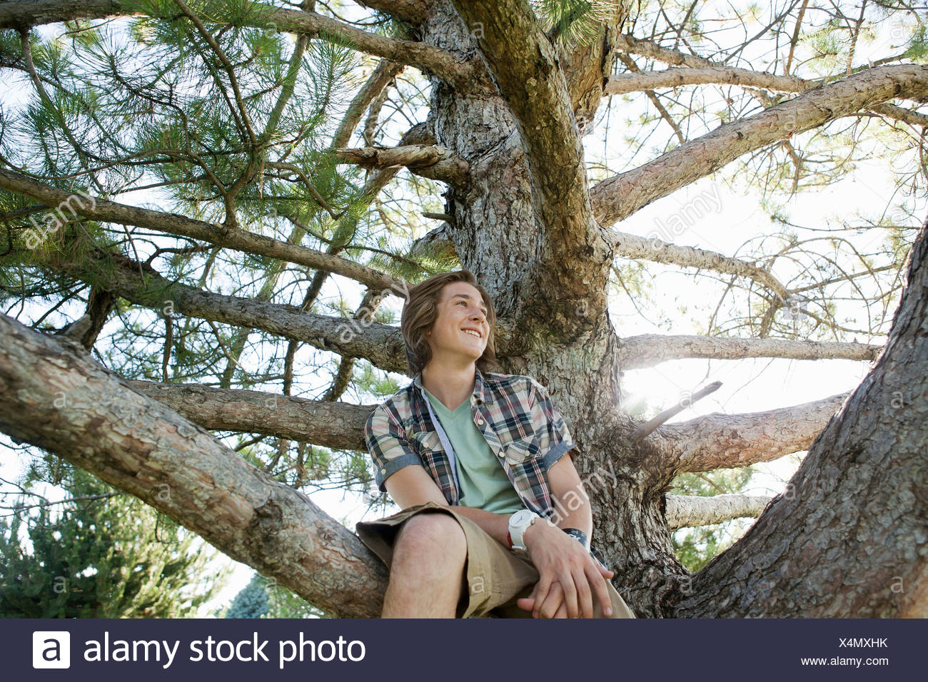 Boy Sitting Tree Branch High Resolution Stock Photography and Images ...