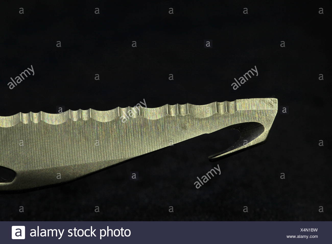 Serrated Blade High Resolution Stock Photography and Images - Alamy