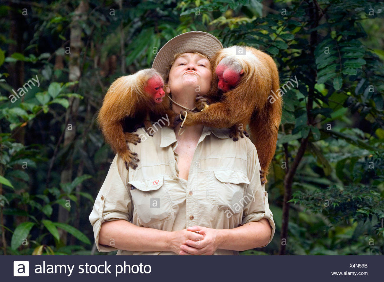 Uakari Monkeys High Resolution Stock Photography and Images - Alamy