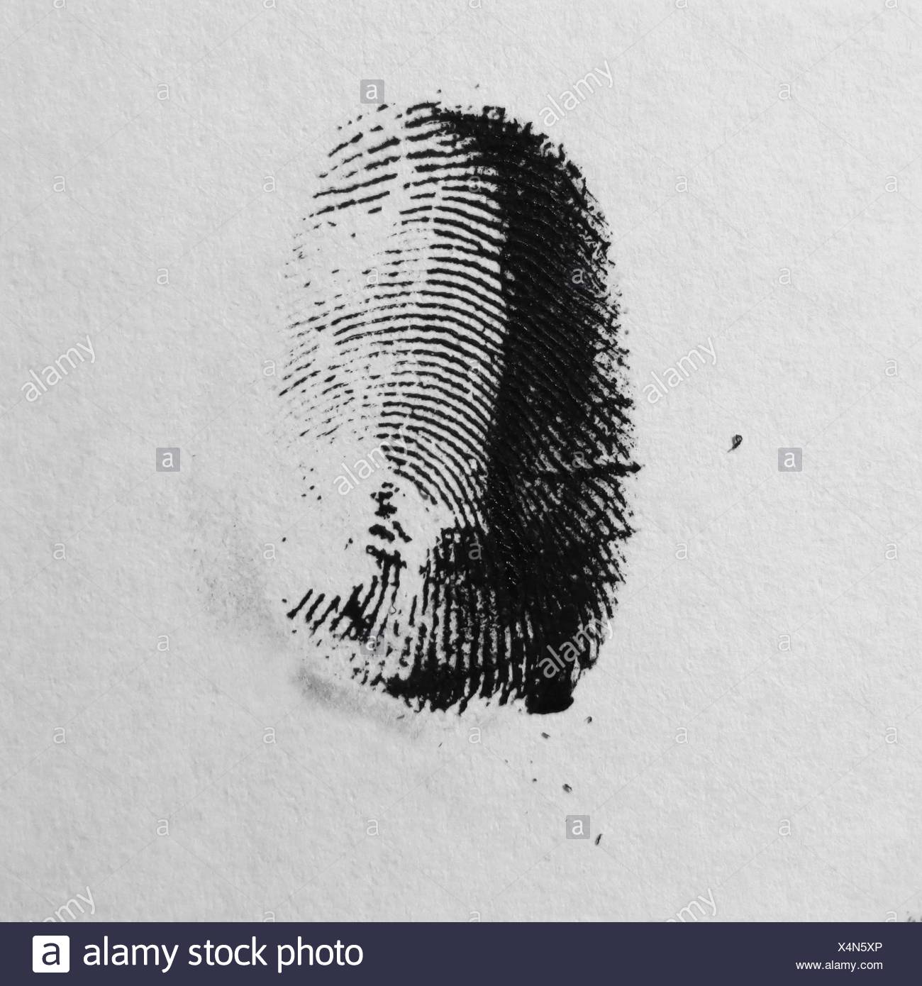 Thumbprint Stock Photos & Thumbprint Stock Images - Alamy