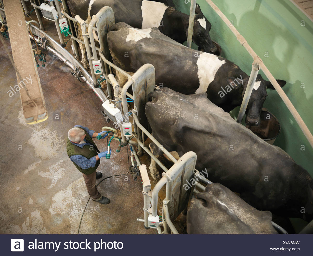 Milking Machine Human High Resolution Stock Photography and Images - Alamy