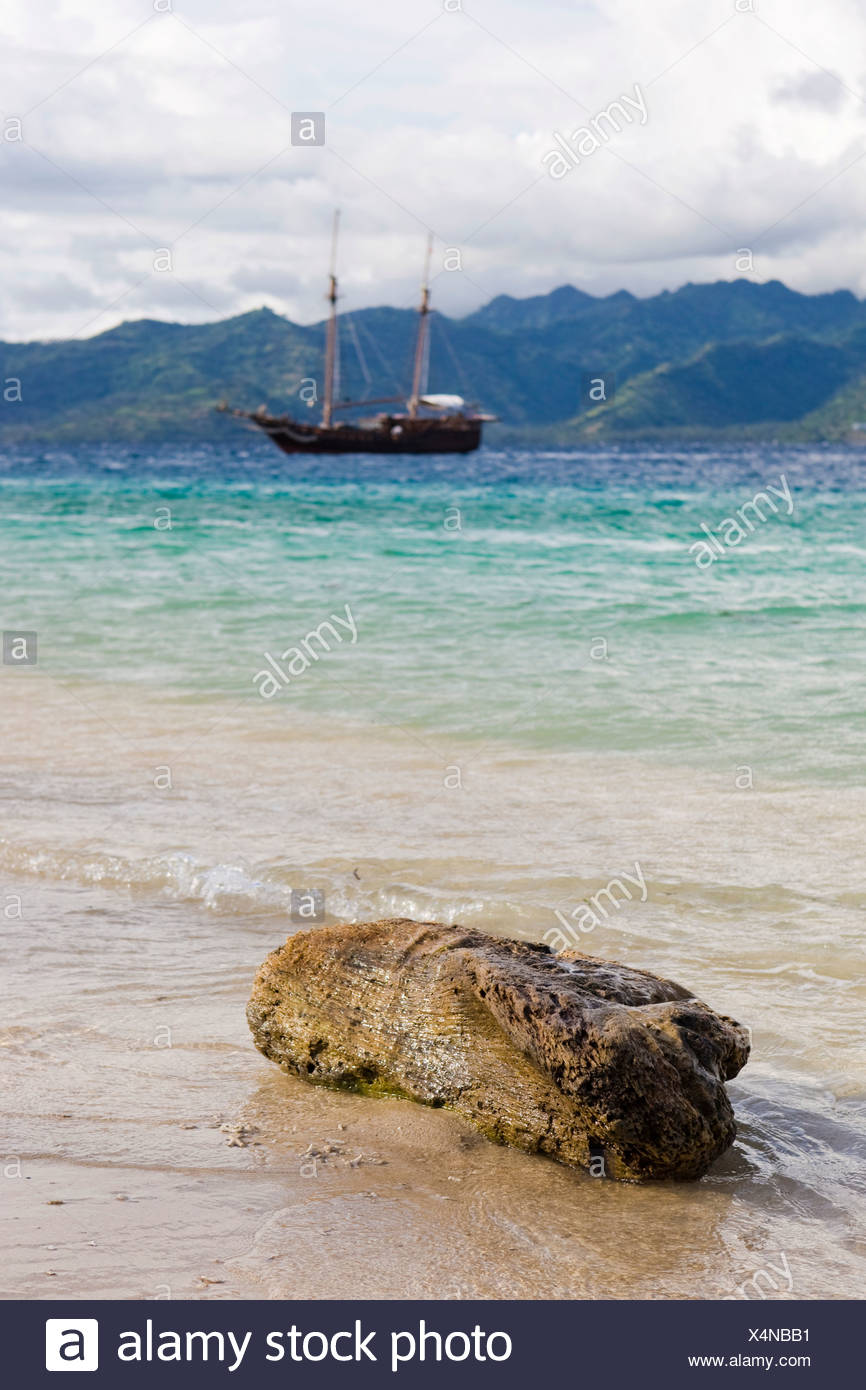 Log Beaches High Resolution Stock Photography and Images - Alamy