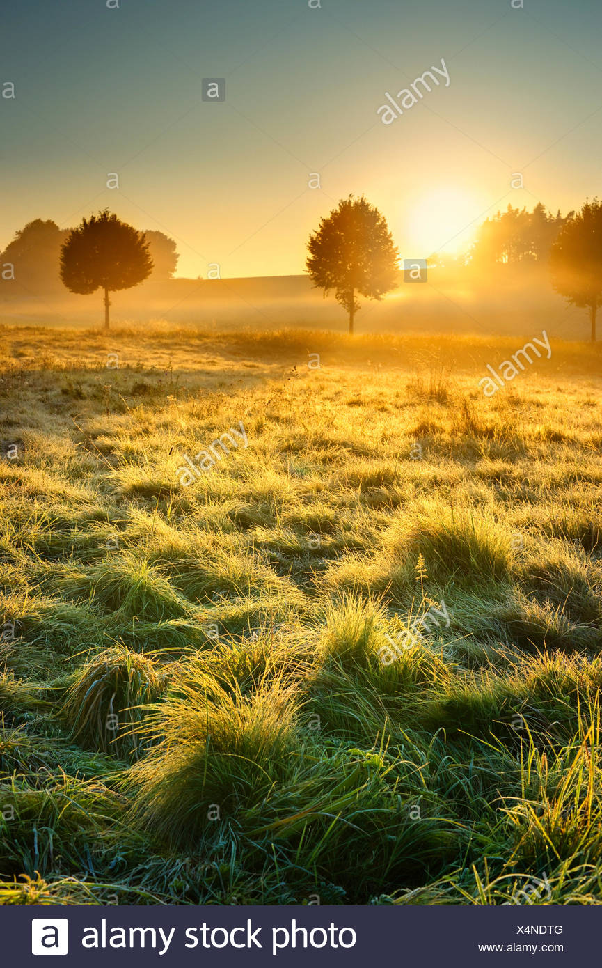 Indian Sun Celestial High Resolution Stock Photography and Images - Alamy