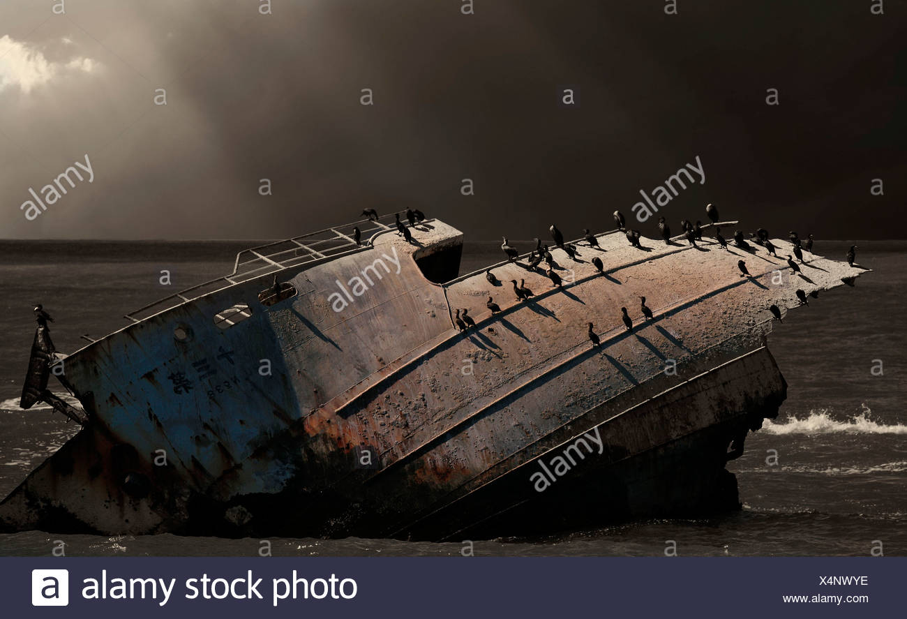 Agulhas Shipwreck High Resolution Stock Photography and Images - Alamy