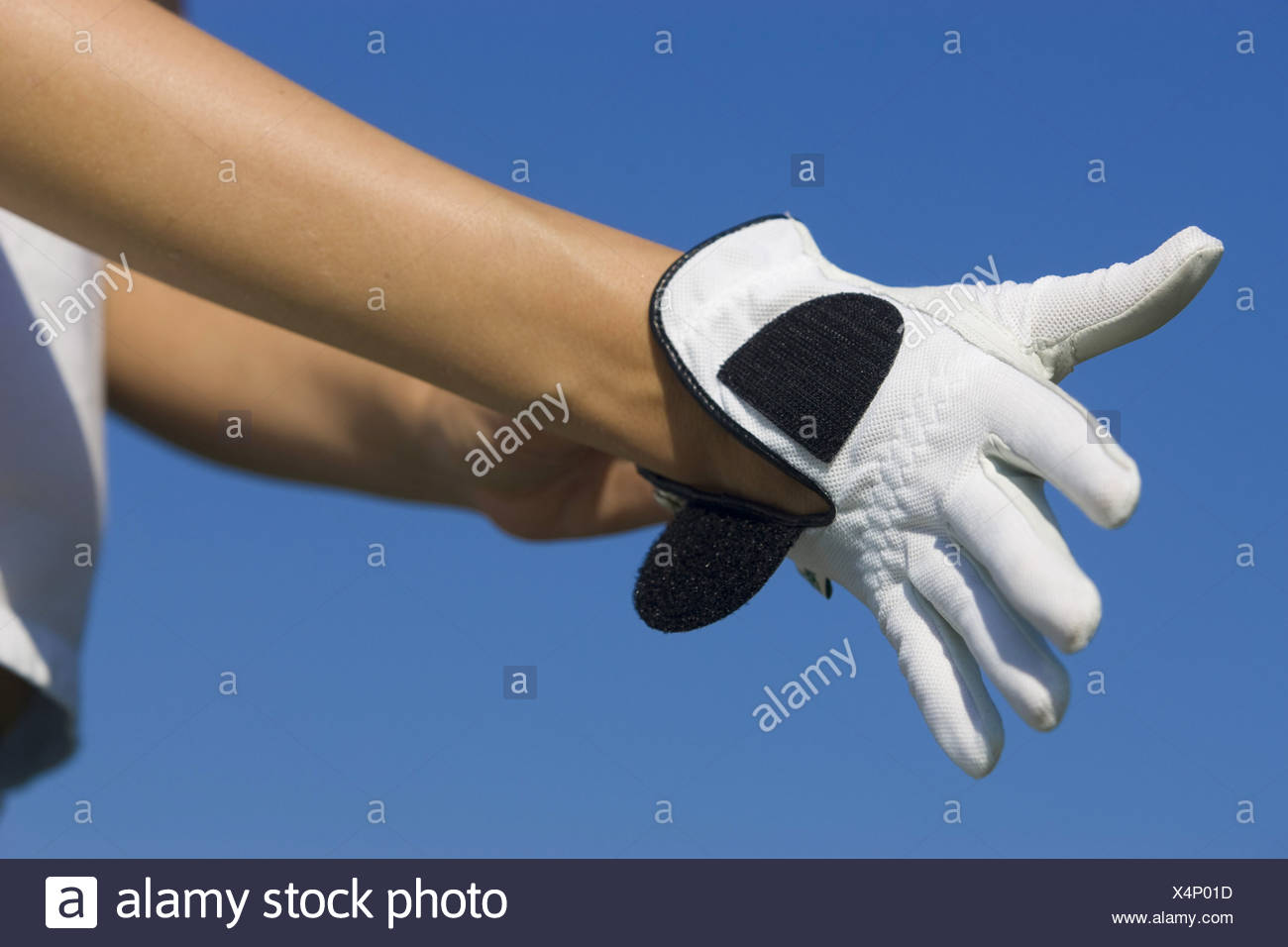 Golf Gloves Stock Photos & Golf Gloves Stock Images - Alamy