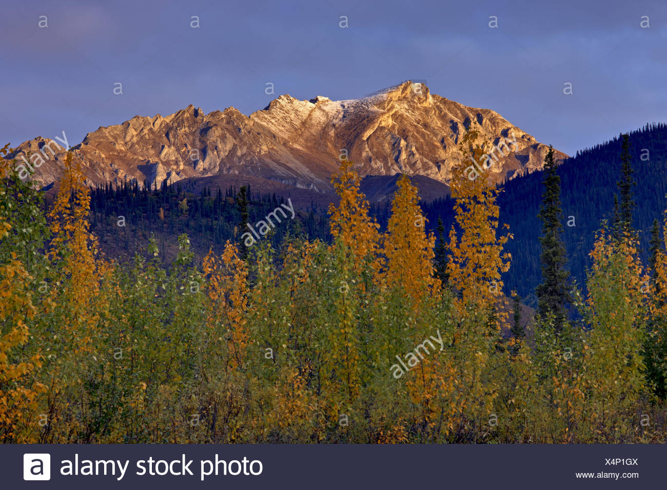 Brooks Range Mountain High Resolution Stock Photography and Images - Alamy