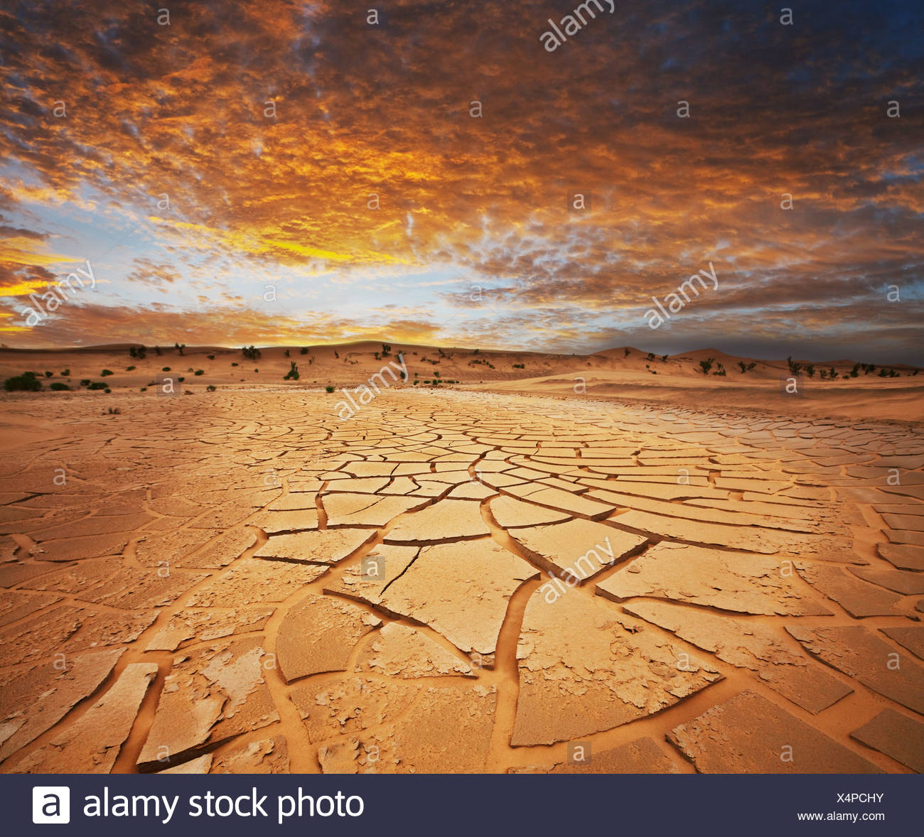 Infertile Land High Resolution Stock Photography and Images - Alamy