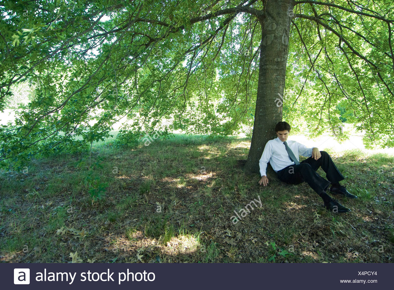 Man Sitting Under Shade Tree Stock Photos & Man Sitting Under Shade ...