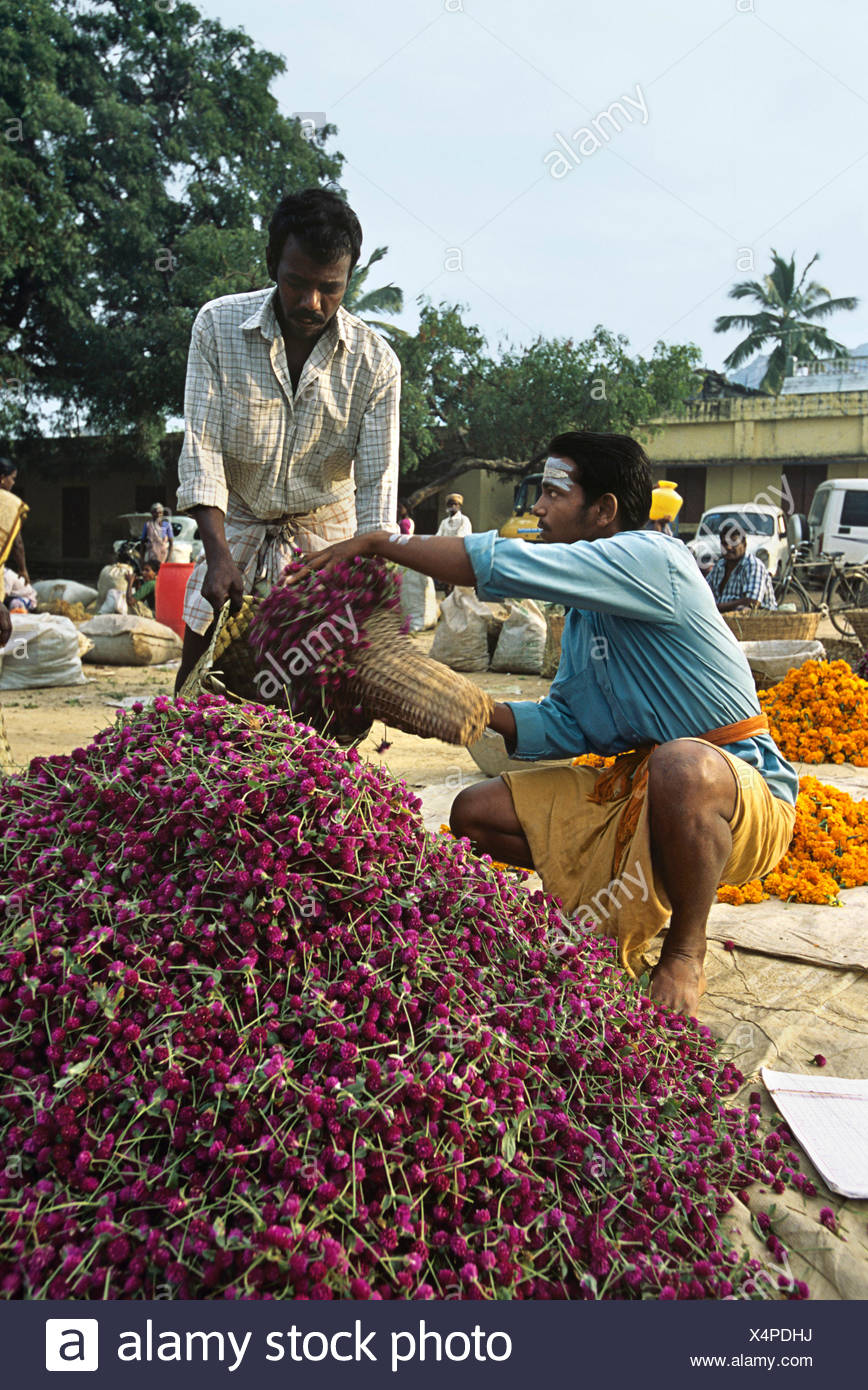 Thovalai Stock Photos & Thovalai Stock Images - Alamy