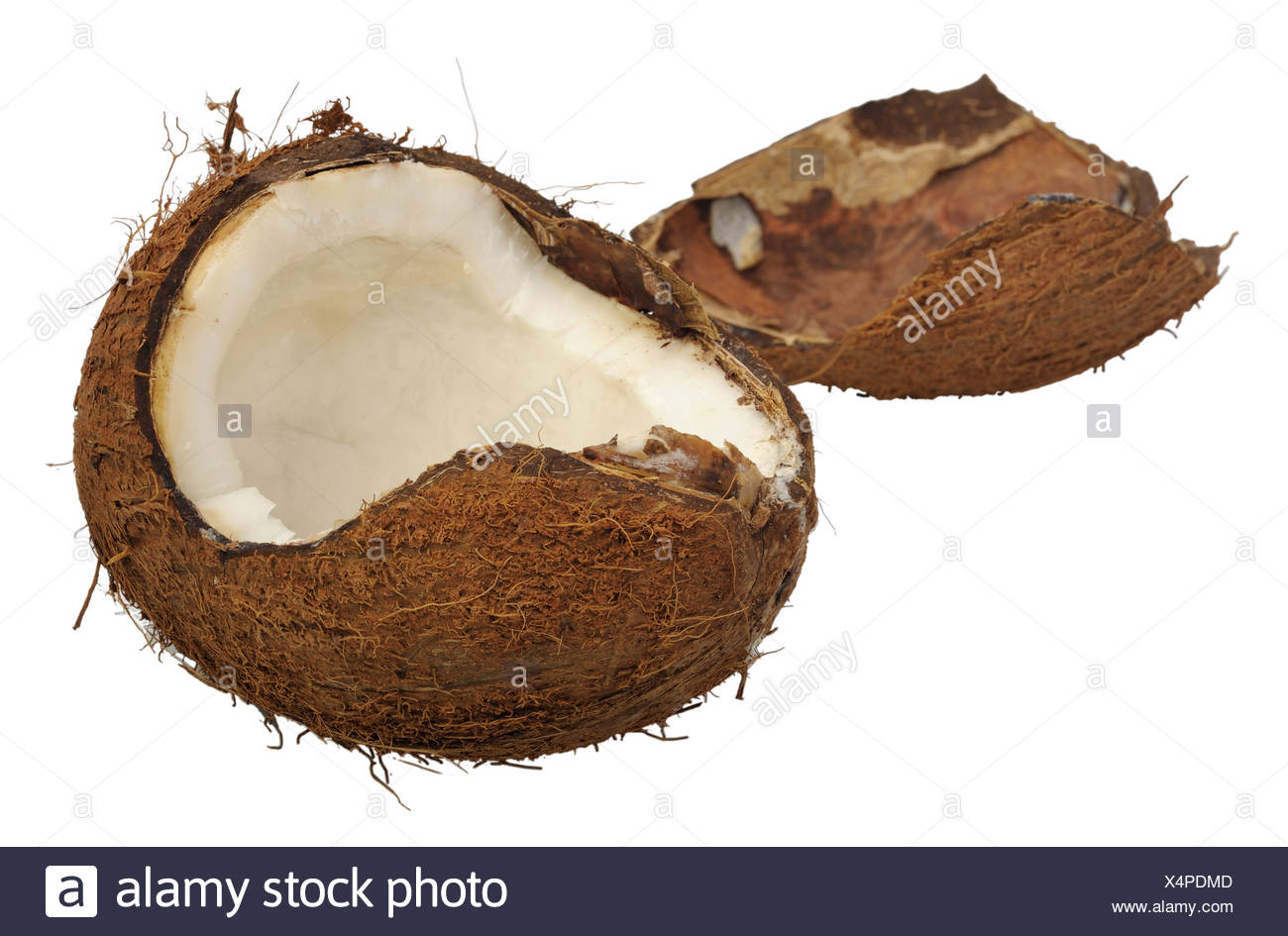 Coconut Fibres Stock Photos & Coconut Fibres Stock Images - Alamy