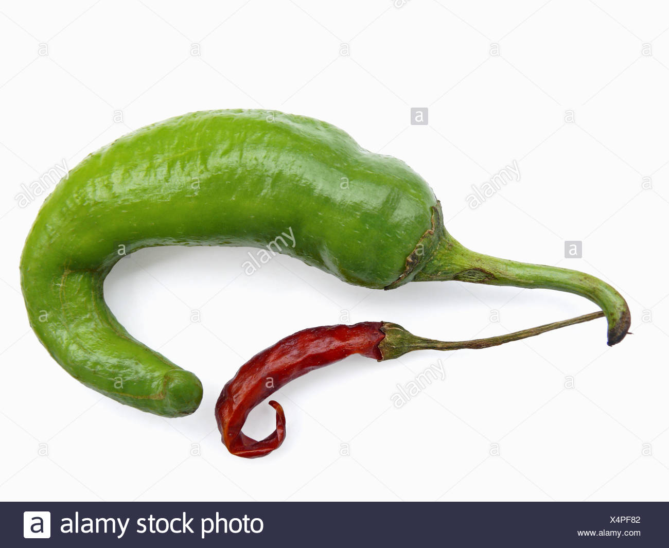 Plant Of Common Chili High Resolution Stock Photography and Images - Alamy