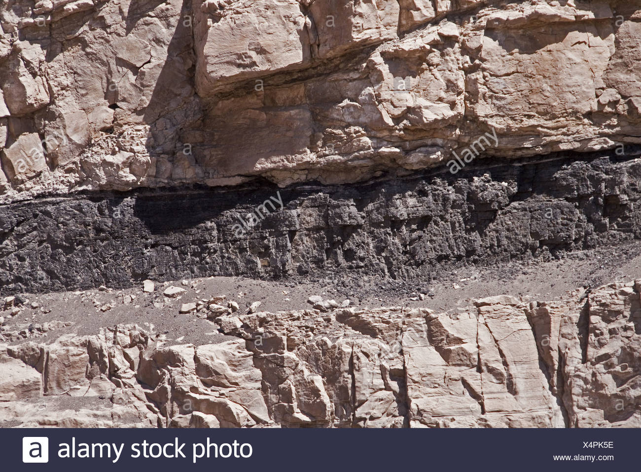 Bituminous Coal Sedimentary Rock Stock Photos & Bituminous Coal ...