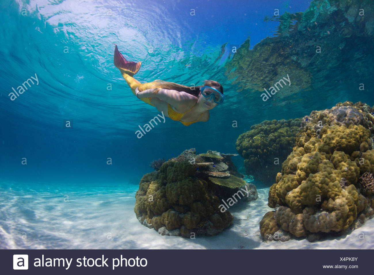 Mermaid Lagoon High Resolution Stock Photography and Images - Alamy