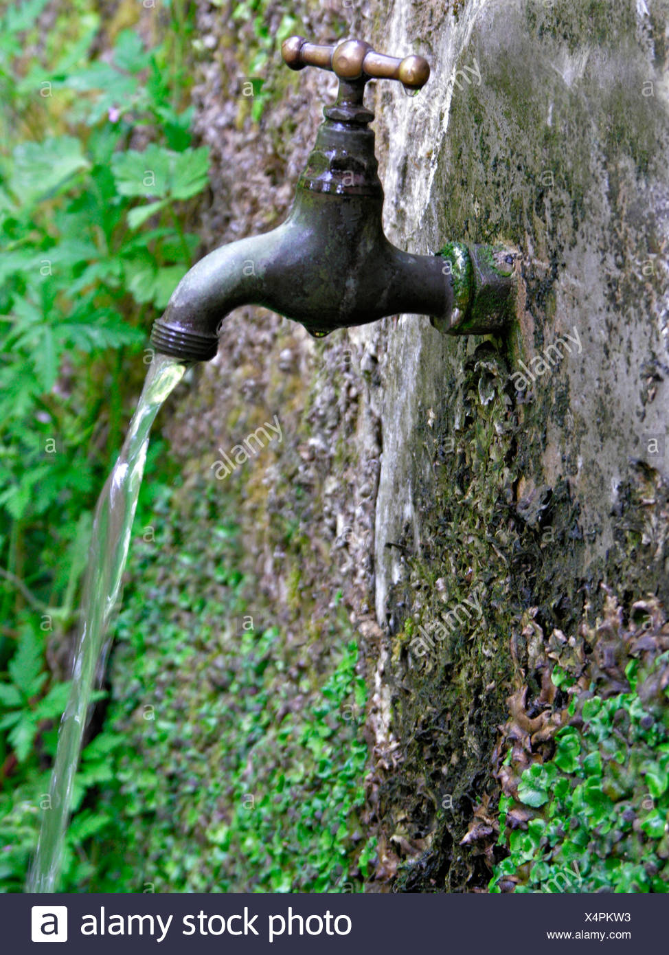 Outdoor Faucet Side View Stock Photos & Outdoor Faucet Side View Stock ...