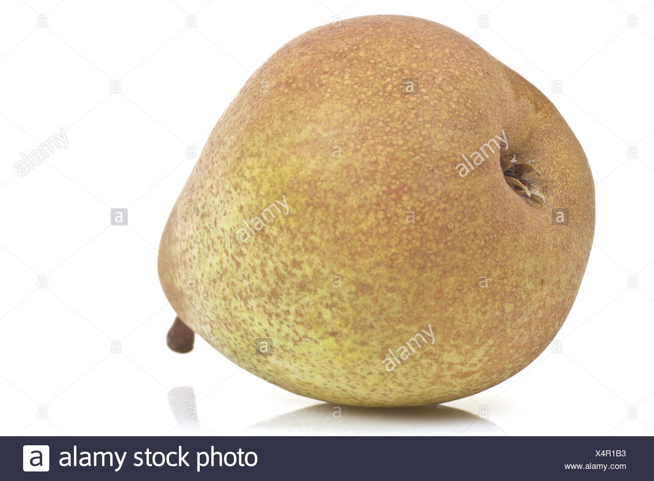 Pear And Brown Rot High Resolution Stock Photography and Images - Alamy