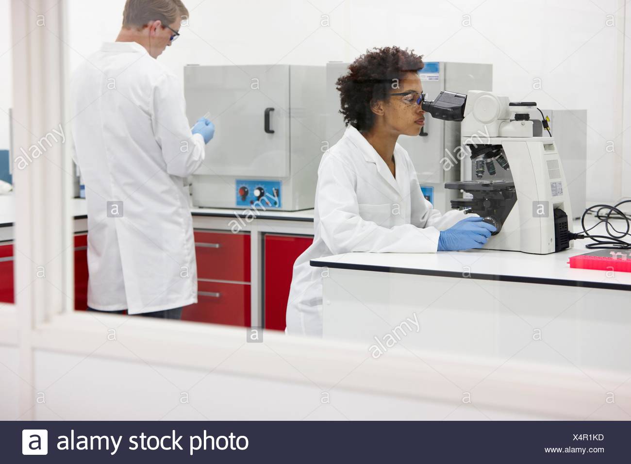 Using Microscope High Resolution Stock Photography and Images - Alamy