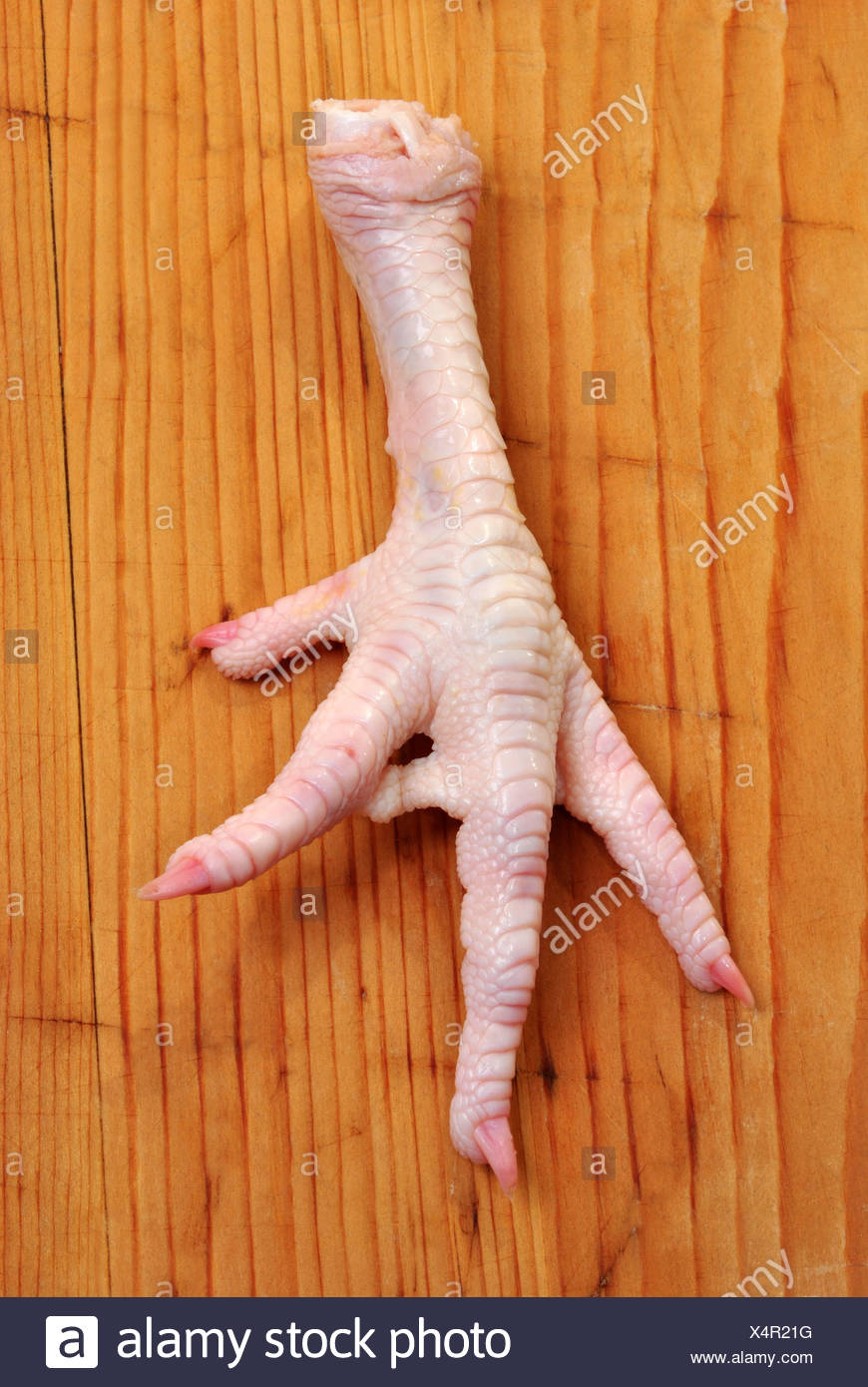 Chicken Foot Stock Photos & Chicken Foot Stock Images - Alamy