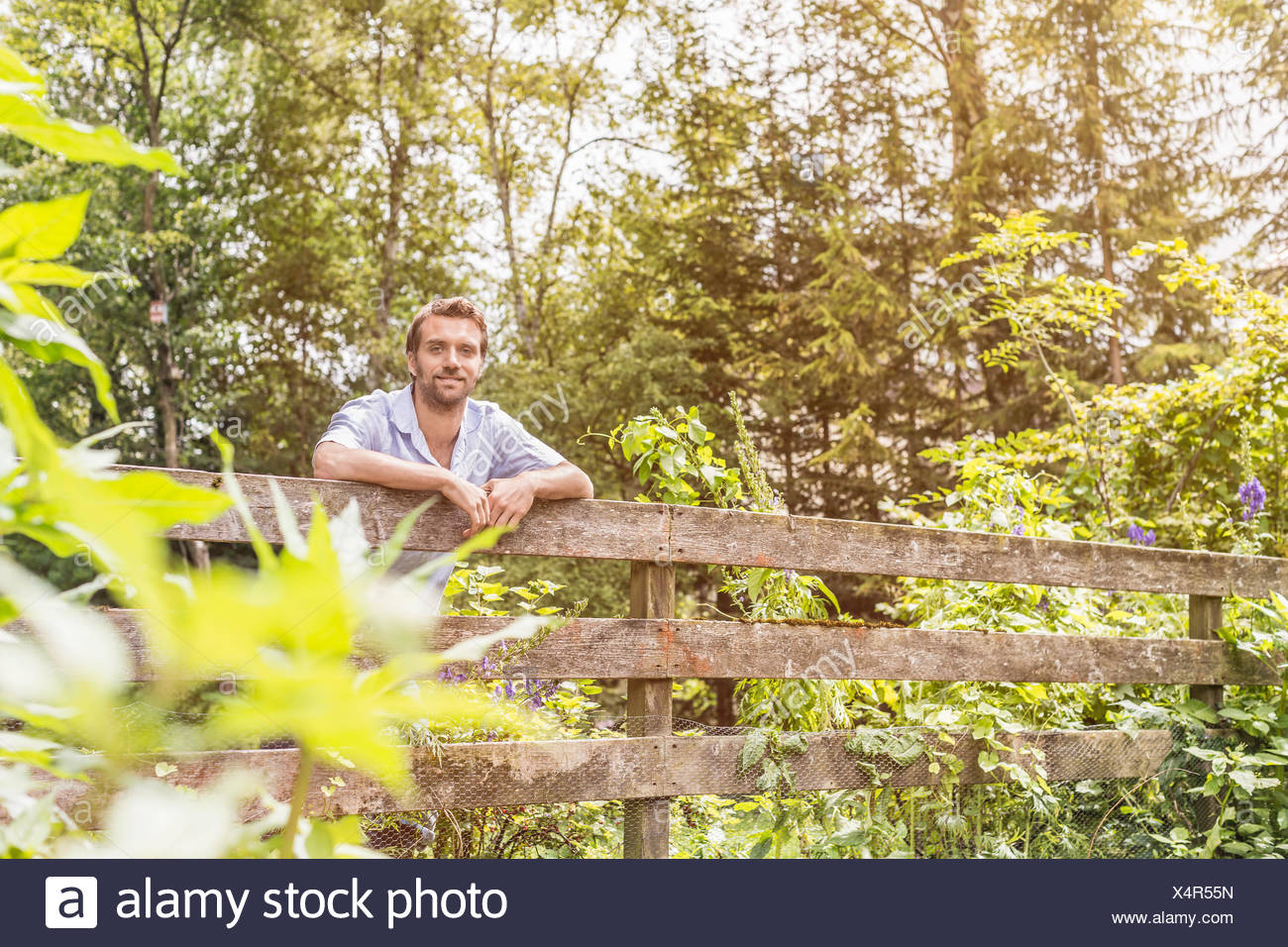 Man Leaning Against Wooden Fence High Resolution Stock Photography and ...
