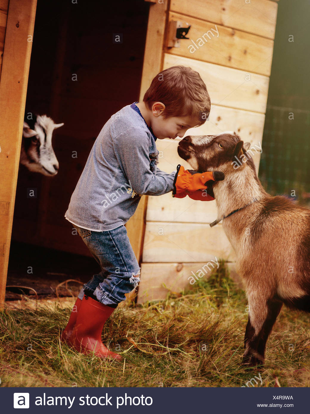 Farm Boy Stock Photos & Farm Boy Stock Images - Alamy