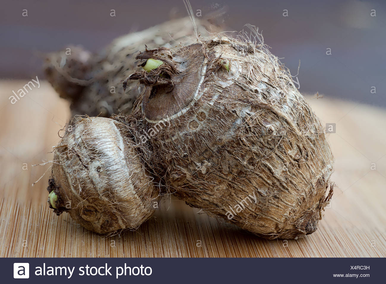 Taro Root Not Market High Resolution Stock Photography and Images - Alamy