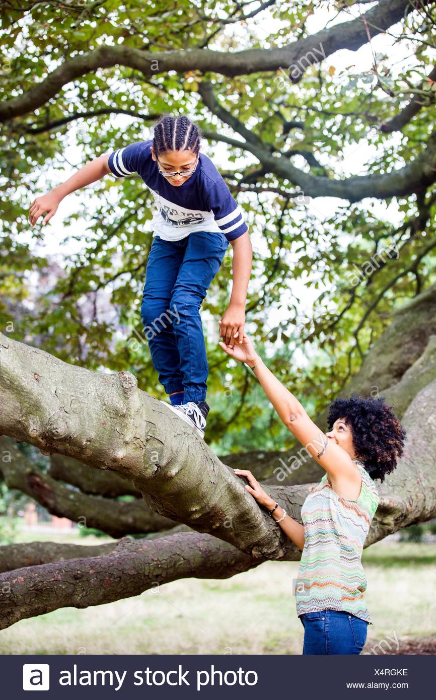 Hand Holding Tree Branch High Resolution Stock Photography and Images ...
