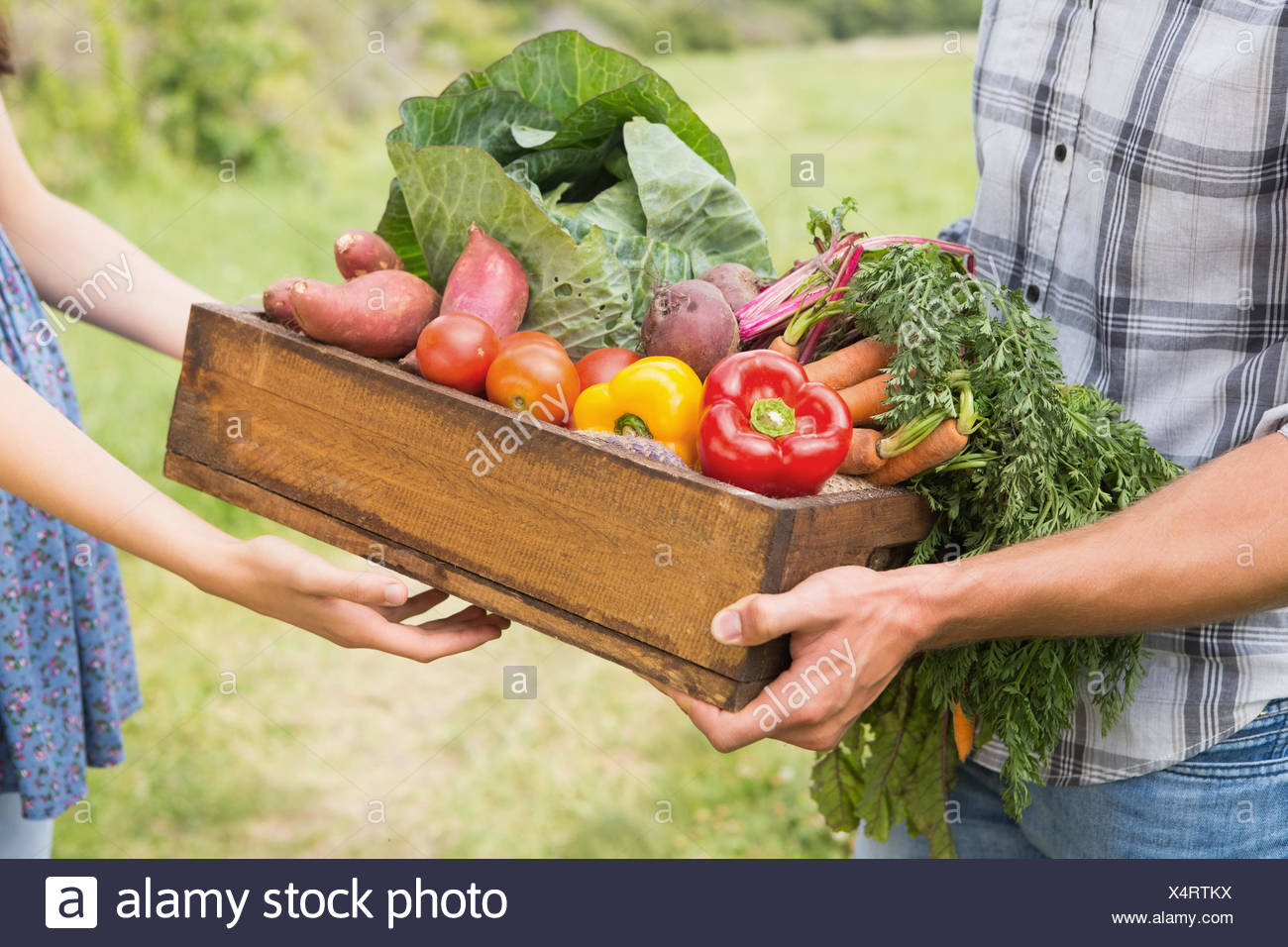 Veg Box High Resolution Stock Photography and Images - Alamy
