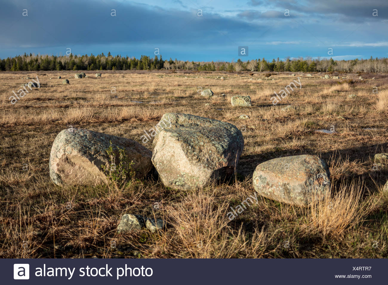 Glacial Erratic Canada High Resolution Stock Photography and Images - Alamy