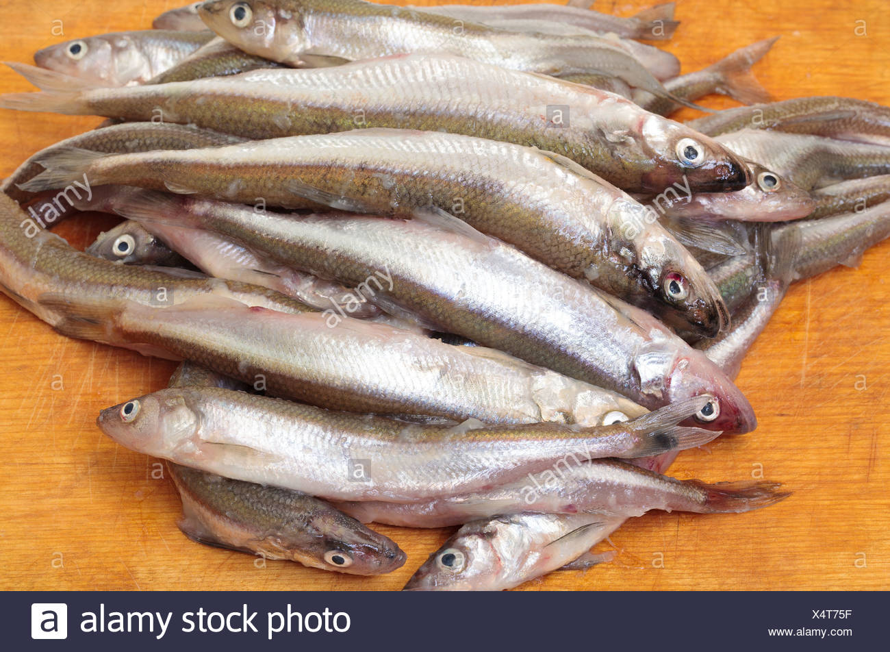 Smelts Stock Photos & Smelts Stock Images - Alamy