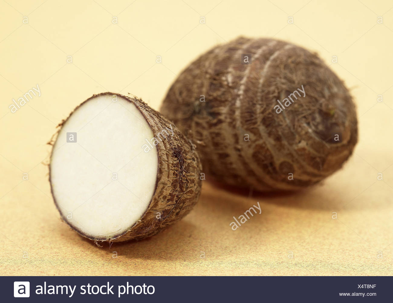 Colocasia Taro High Resolution Stock Photography and Images - Alamy