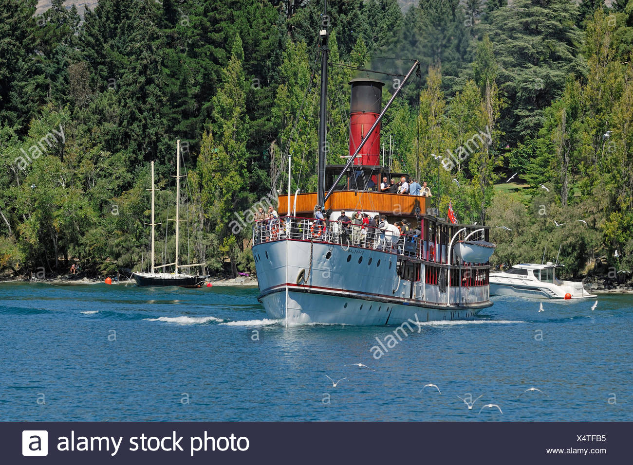 Steamship Steamships High Resolution Stock Photography and Images - Alamy