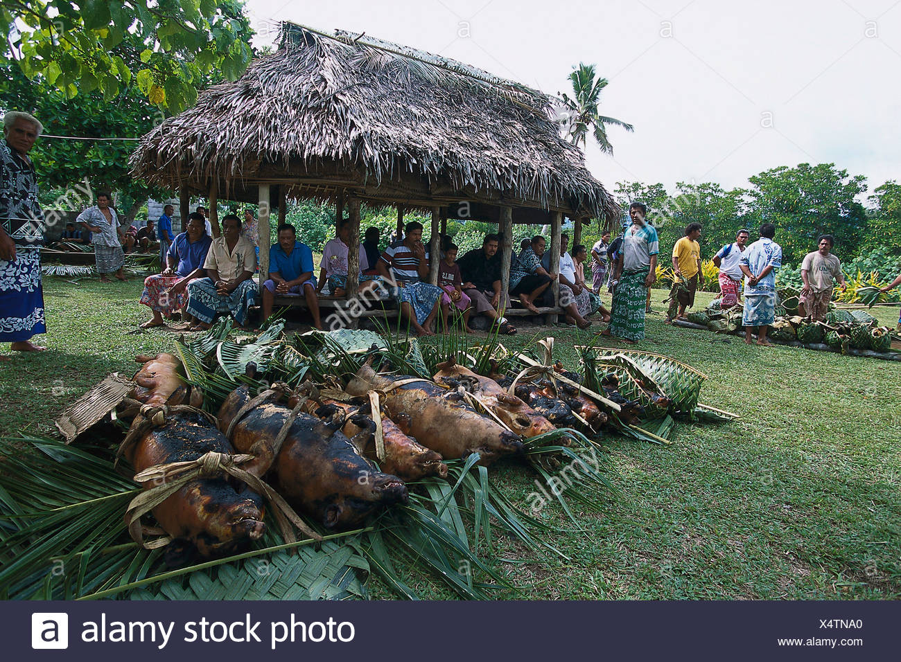 Samoa Food High Resolution Stock Photography and Images - Alamy
