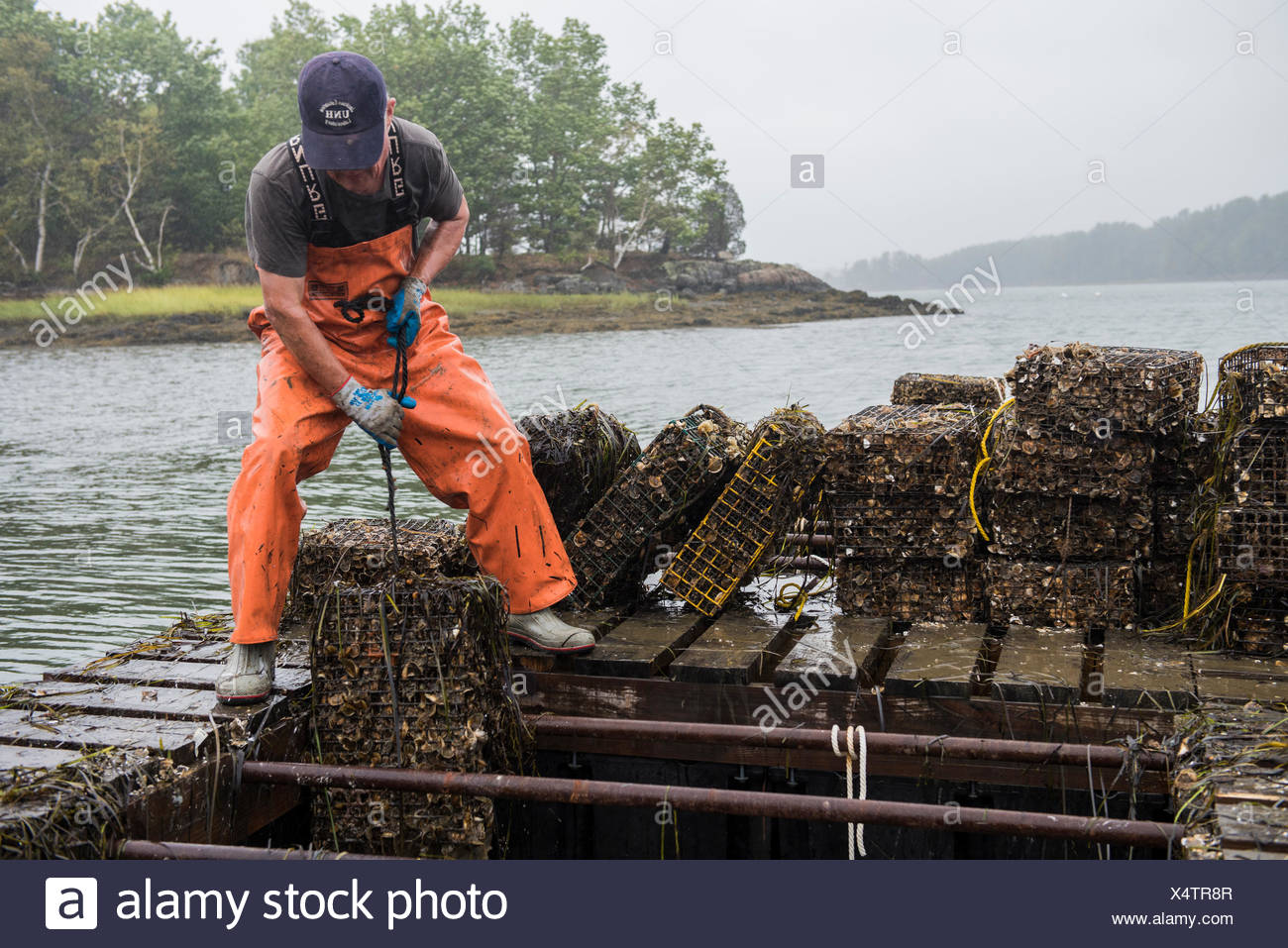 Farmer Cage High Resolution Stock Photography and Images - Alamy