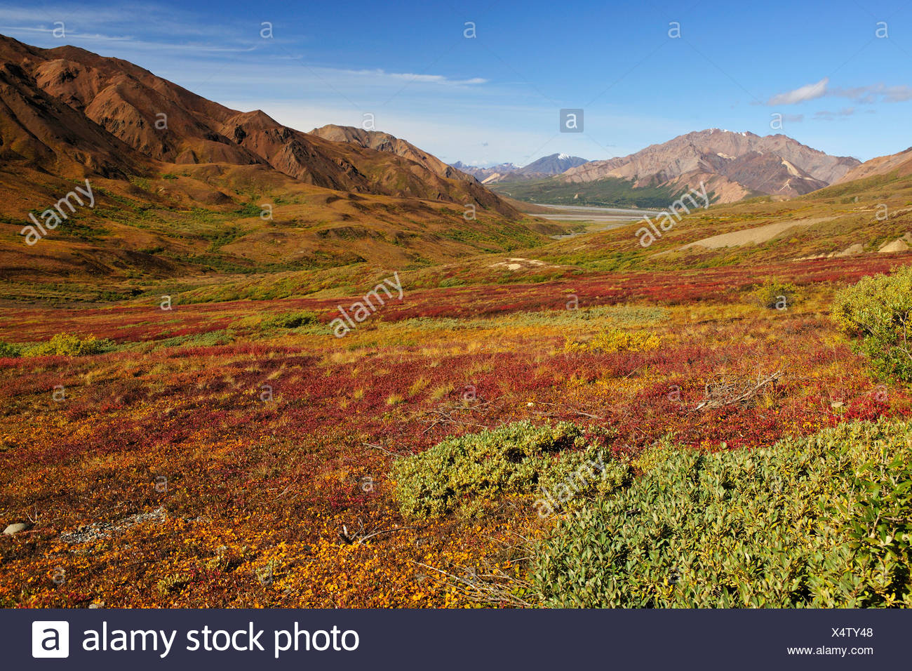 Tundra Landscape Alaska High Resolution Stock Photography and Images ...