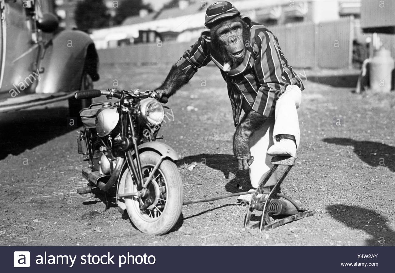 Motorcycle Stunt Circus Stock Photos & Motorcycle Stunt Circus Stock ...