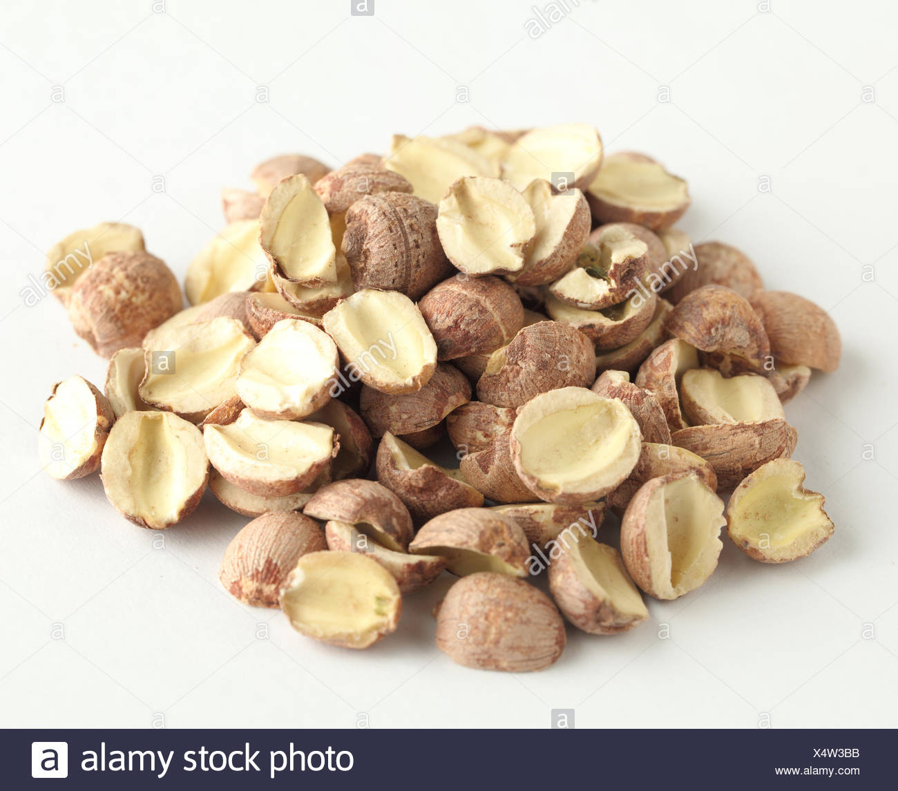 Fox Nut Stock Photos & Fox Nut Stock Images - Alamy