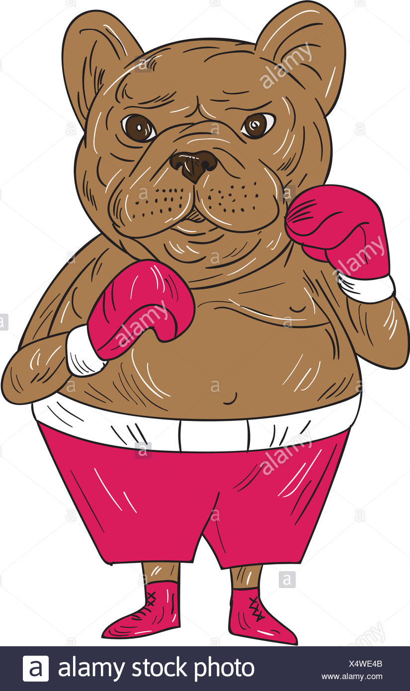 Boxer Dog Cartoon Illustration Stock Photos & Boxer Dog Cartoon ...