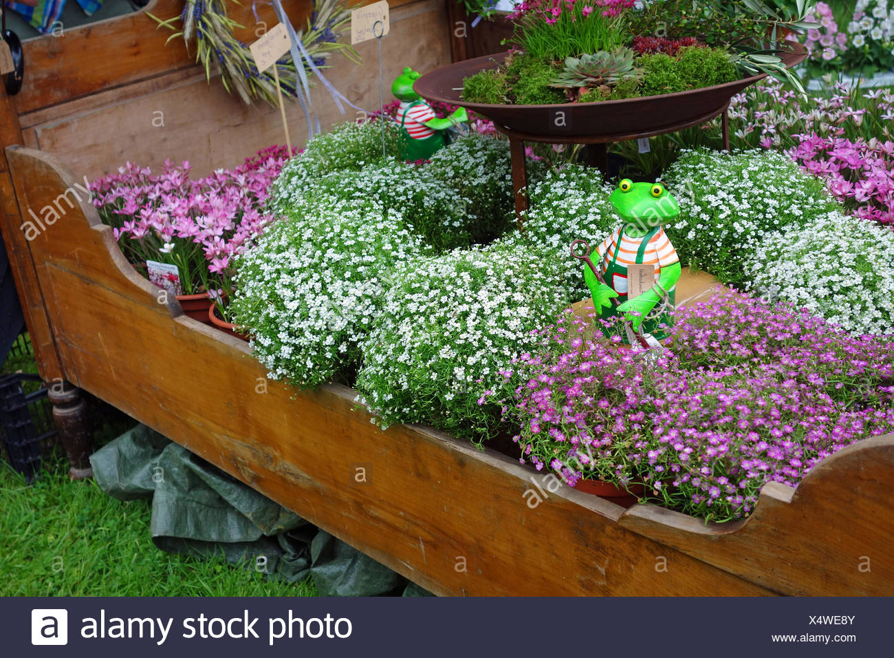 Perennials Bed Summer High Resolution Stock Photography and Images - Alamy