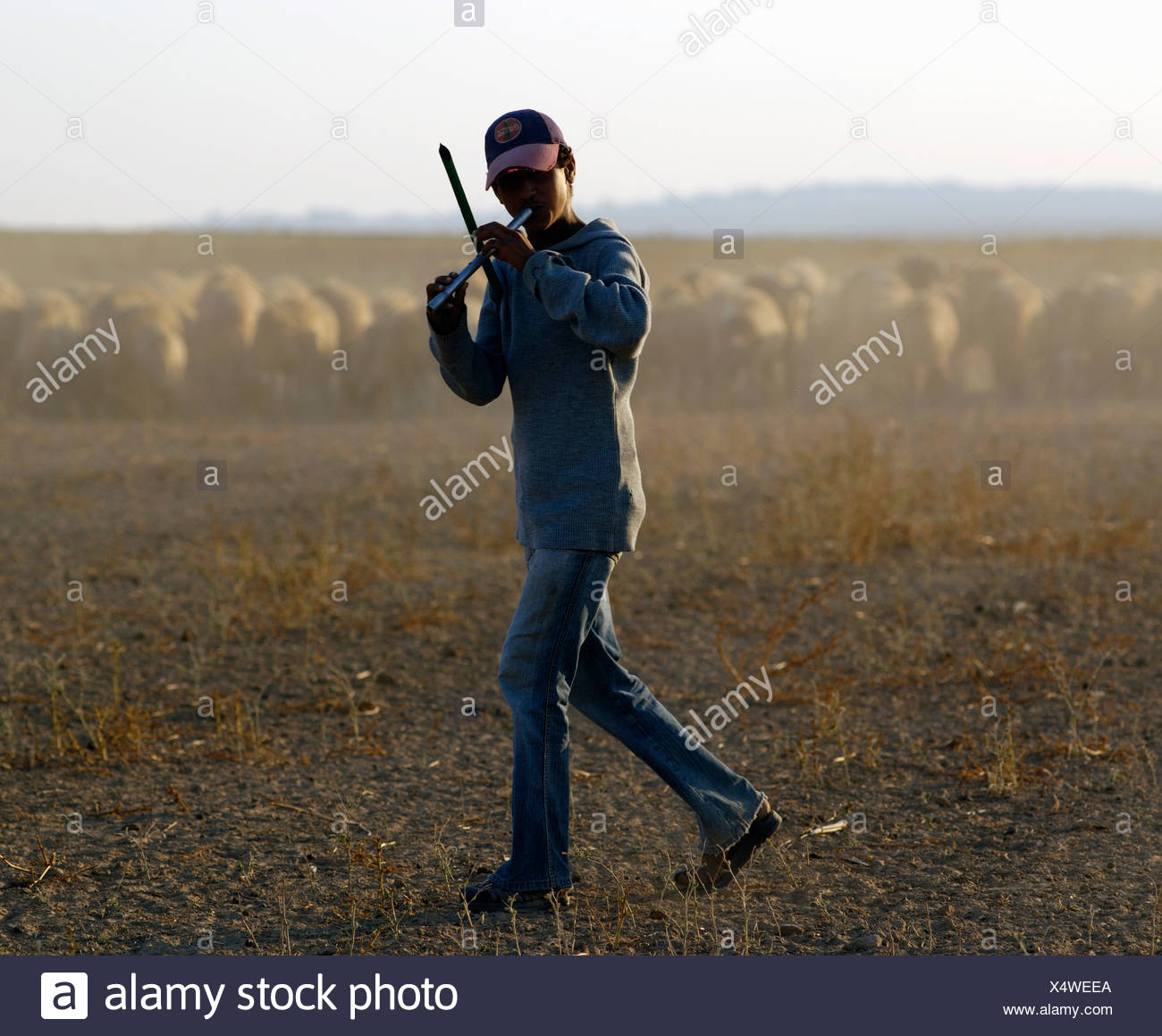 Flute Playing Shepherd High Resolution Stock Photography and Images - Alamy