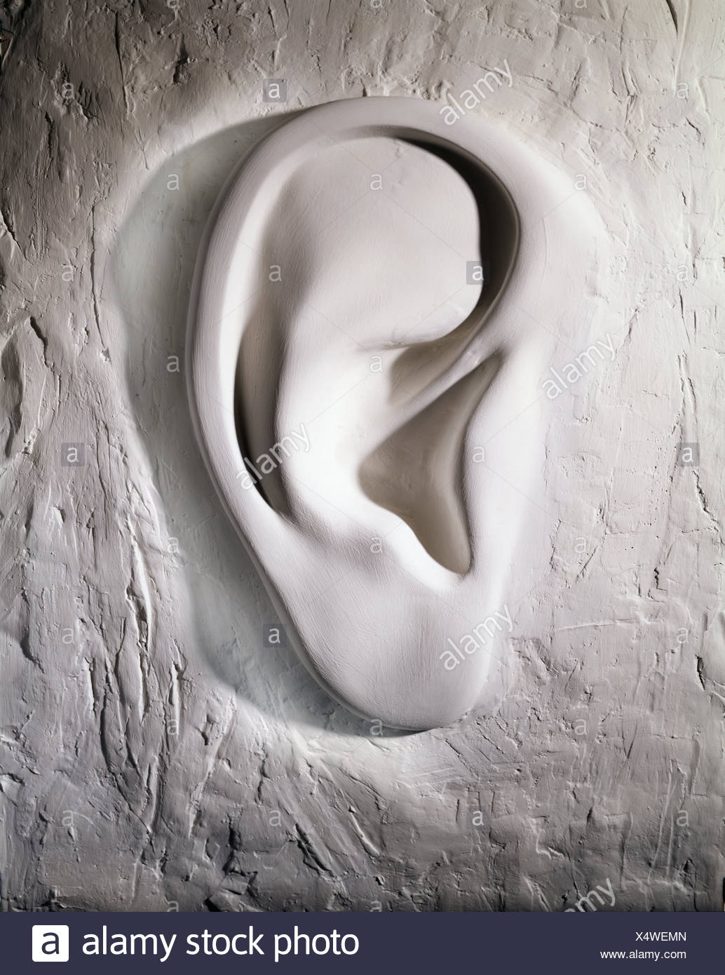 Plaster Cast High Resolution Stock Photography and Images - Alamy