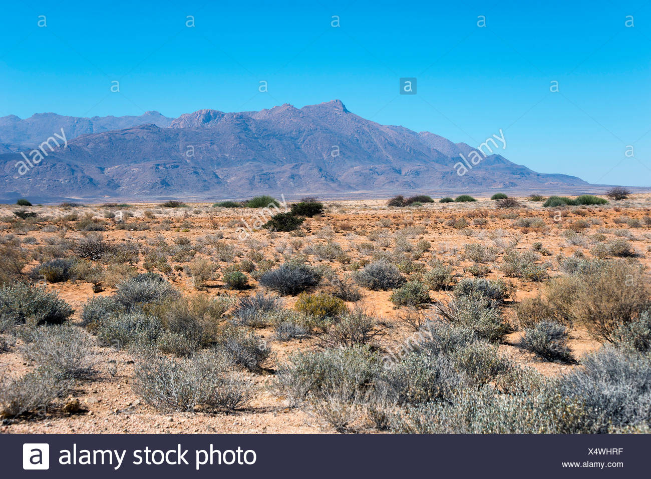 Brandberg Namibia High Resolution Stock Photography and Images - Alamy