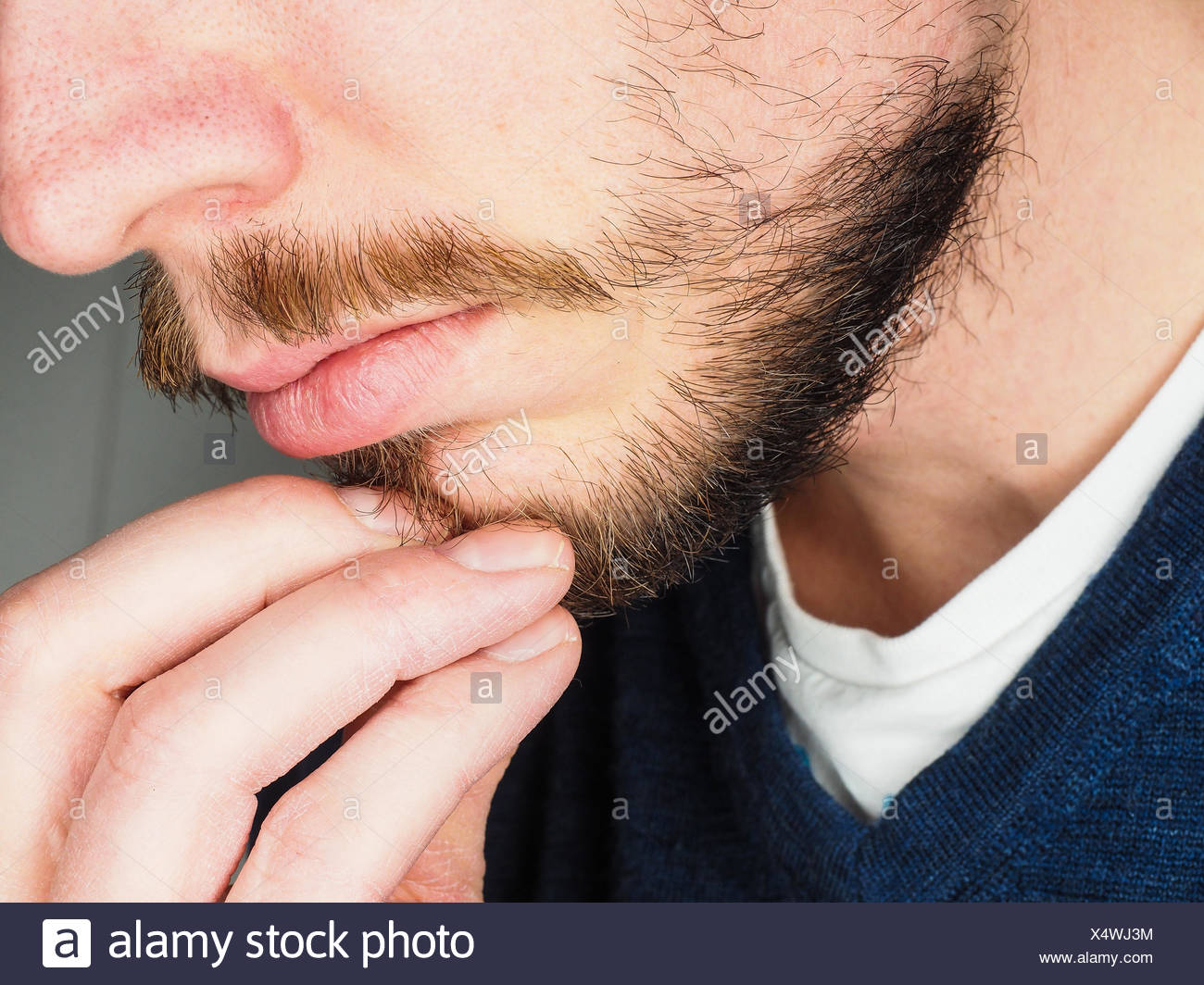 Partial Beard Stock Photos & Partial Beard Stock Images - Alamy